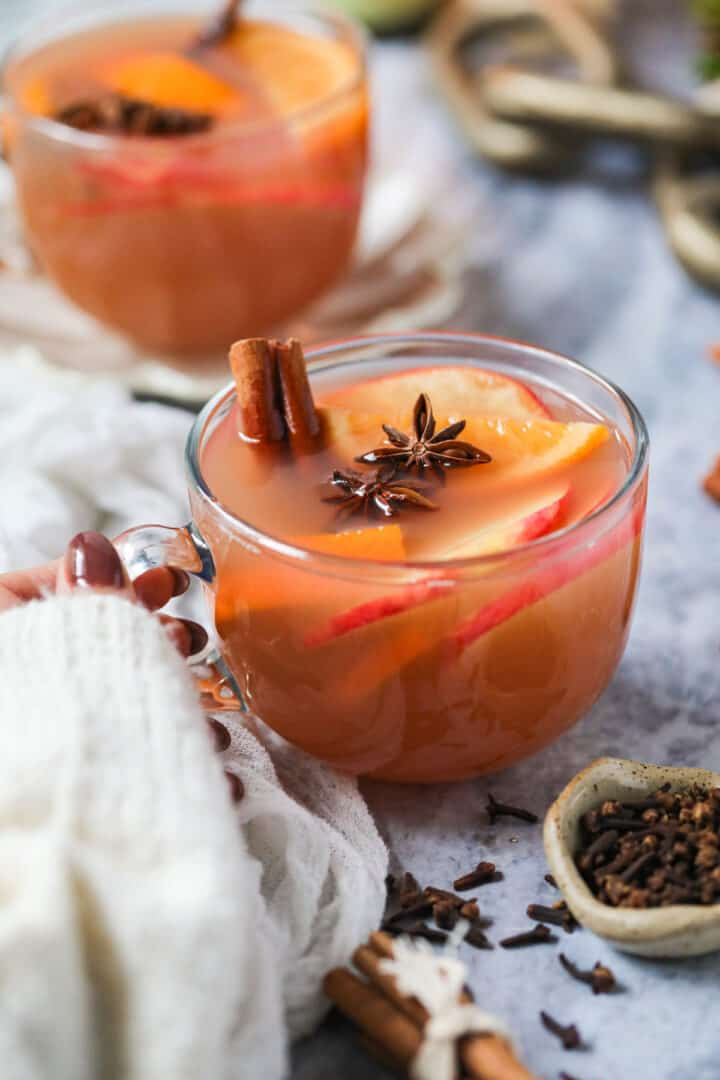 Homemade Hot Apple Cider Recipe - Pink Owl Kitchen